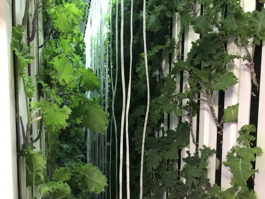 The future of farming in big cities: an interview with Paul Philpott ...